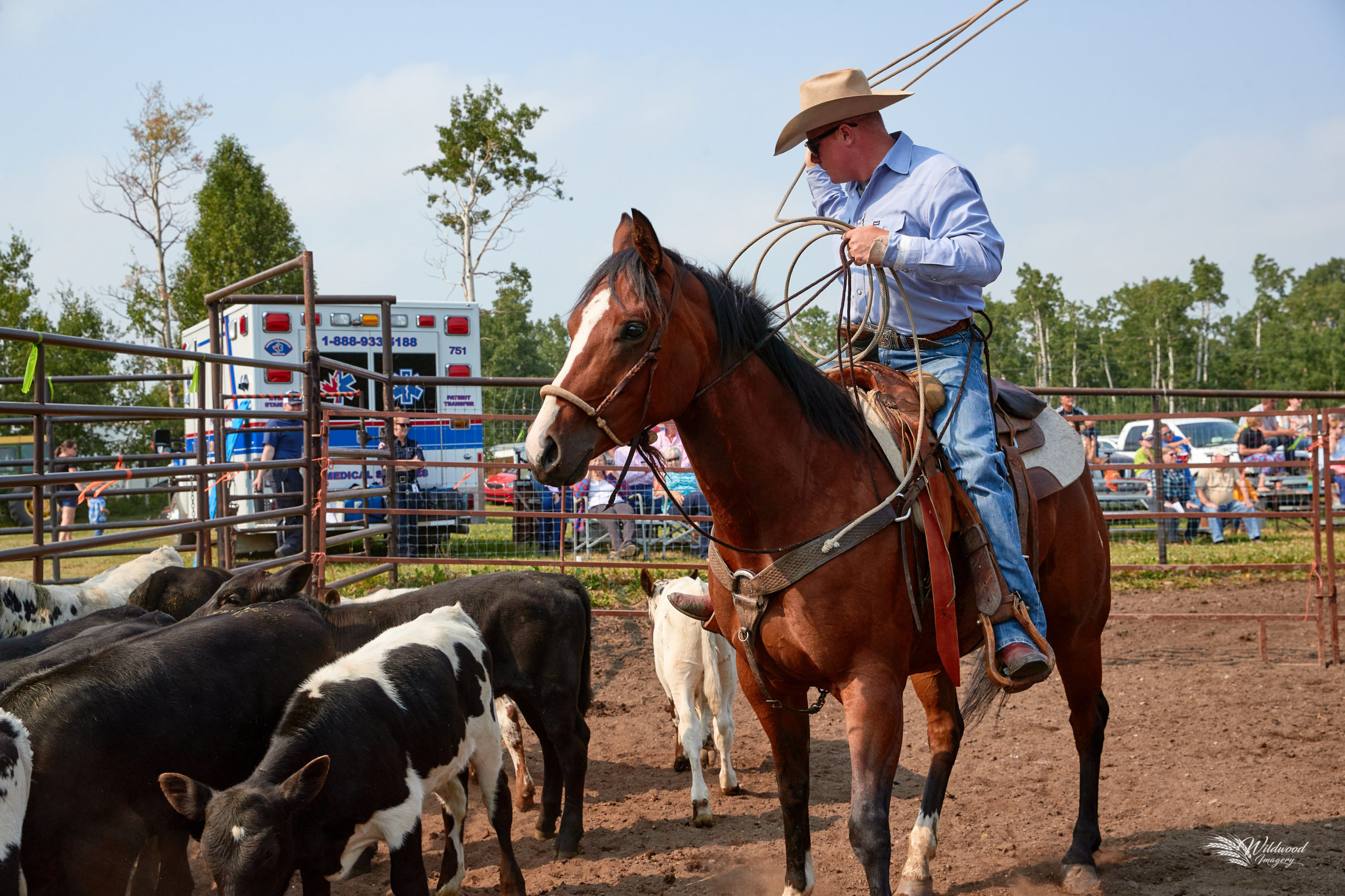 2021 Dogpound Stampede and Ranch Rodeo - wildwoodimagery.ca