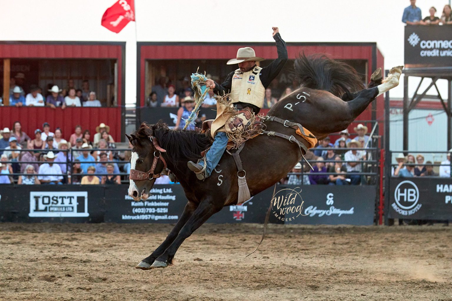 2021 Pollockville Hard Grass Bronc Match - wildwoodimagery.ca