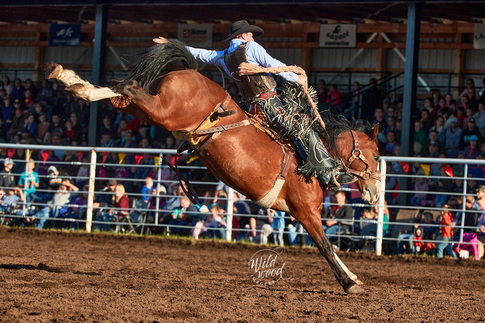 2021 La Crete Field of Dreams Stampede - wildwoodimagery.ca