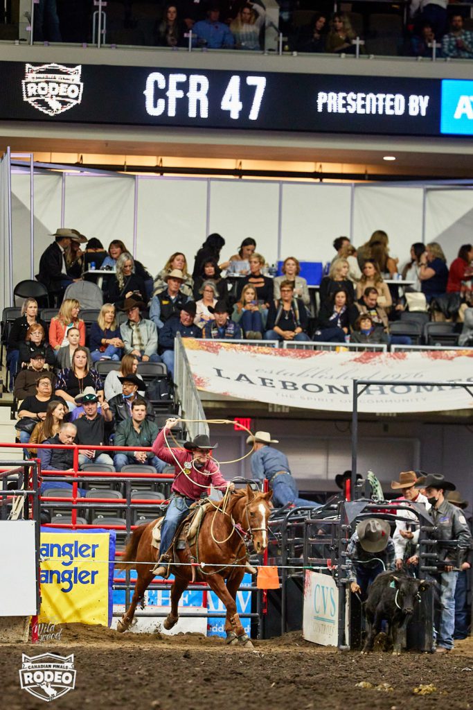 Canadian Finals Rodeo - CFR 47 - wildwoodimagery.ca