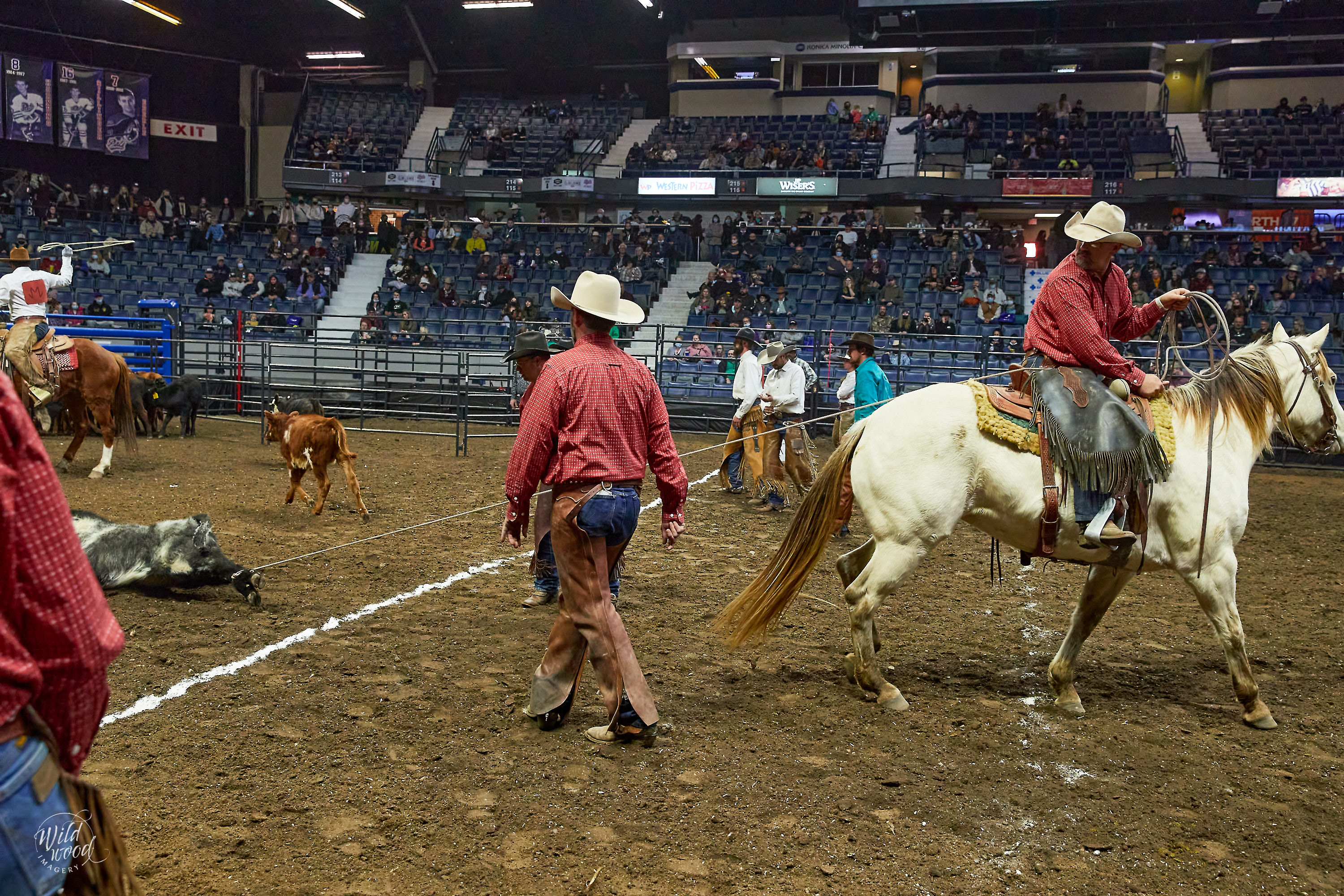 2021 CWA Ranch Rodeo - wildwoodimagery.ca