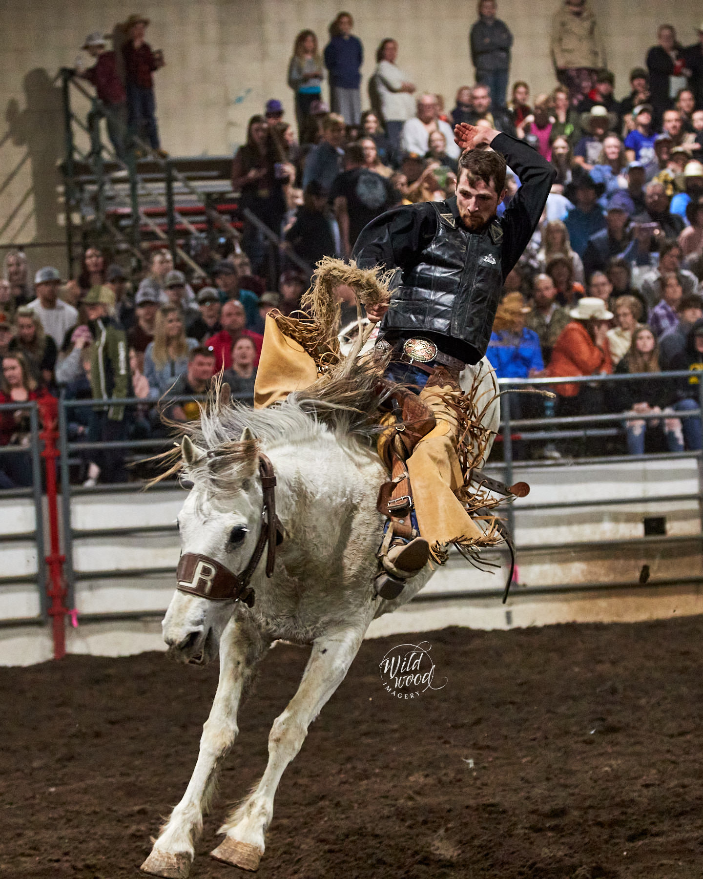 2022 Taber Spring Classic Pro Rodeo - wildwoodimagery.ca