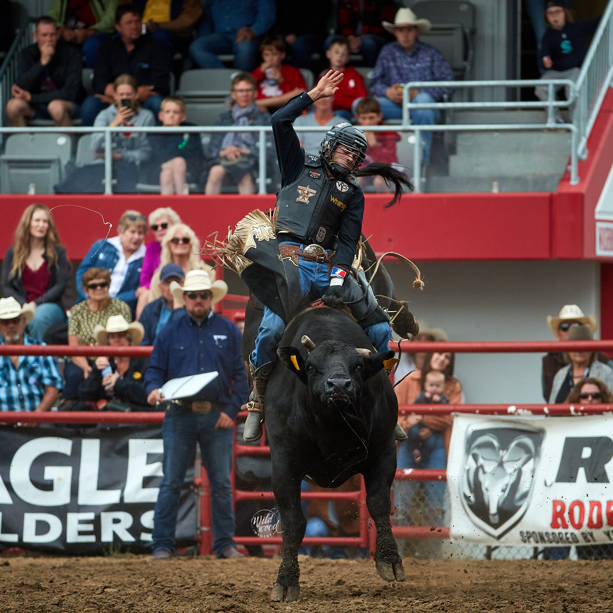 What is Rodeo? - wildwoodimagery.ca