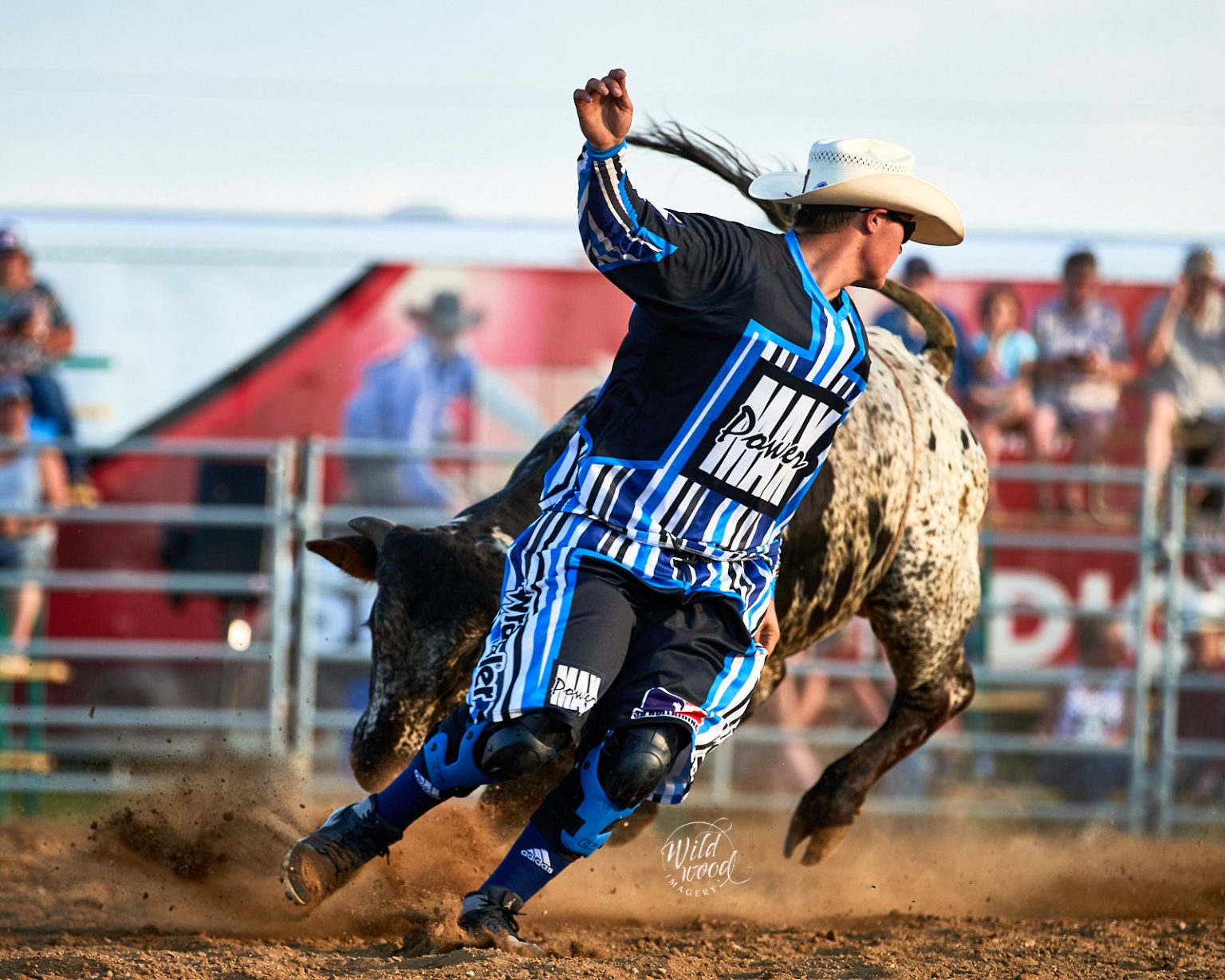 Blog - wildwoodimagery.ca