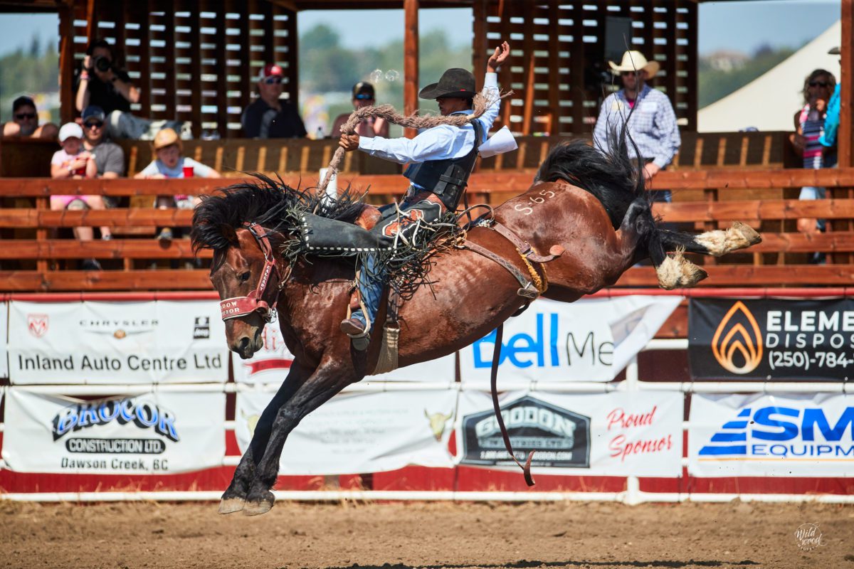 Blog - wildwoodimagery.ca