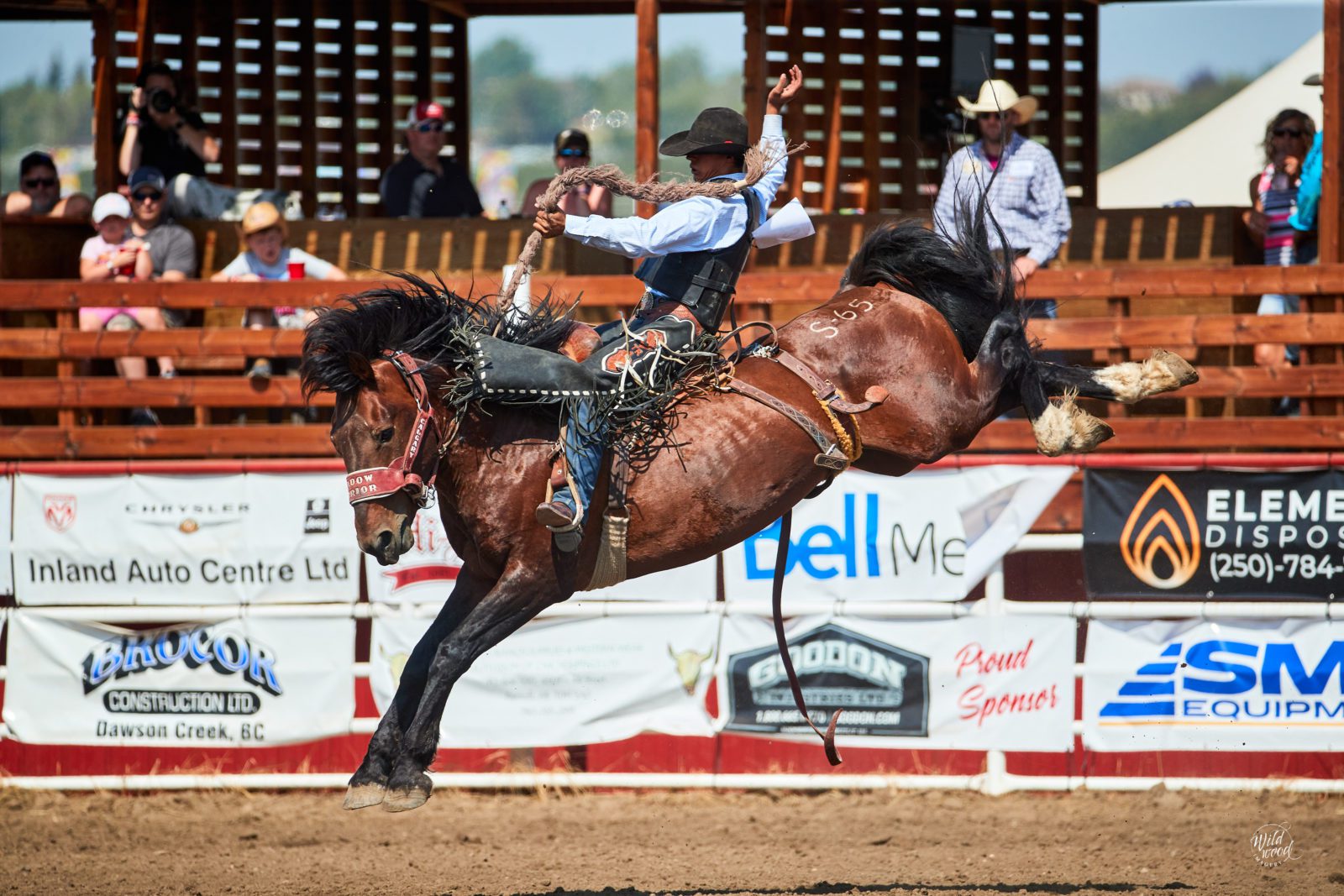 Blog - wildwoodimagery.ca