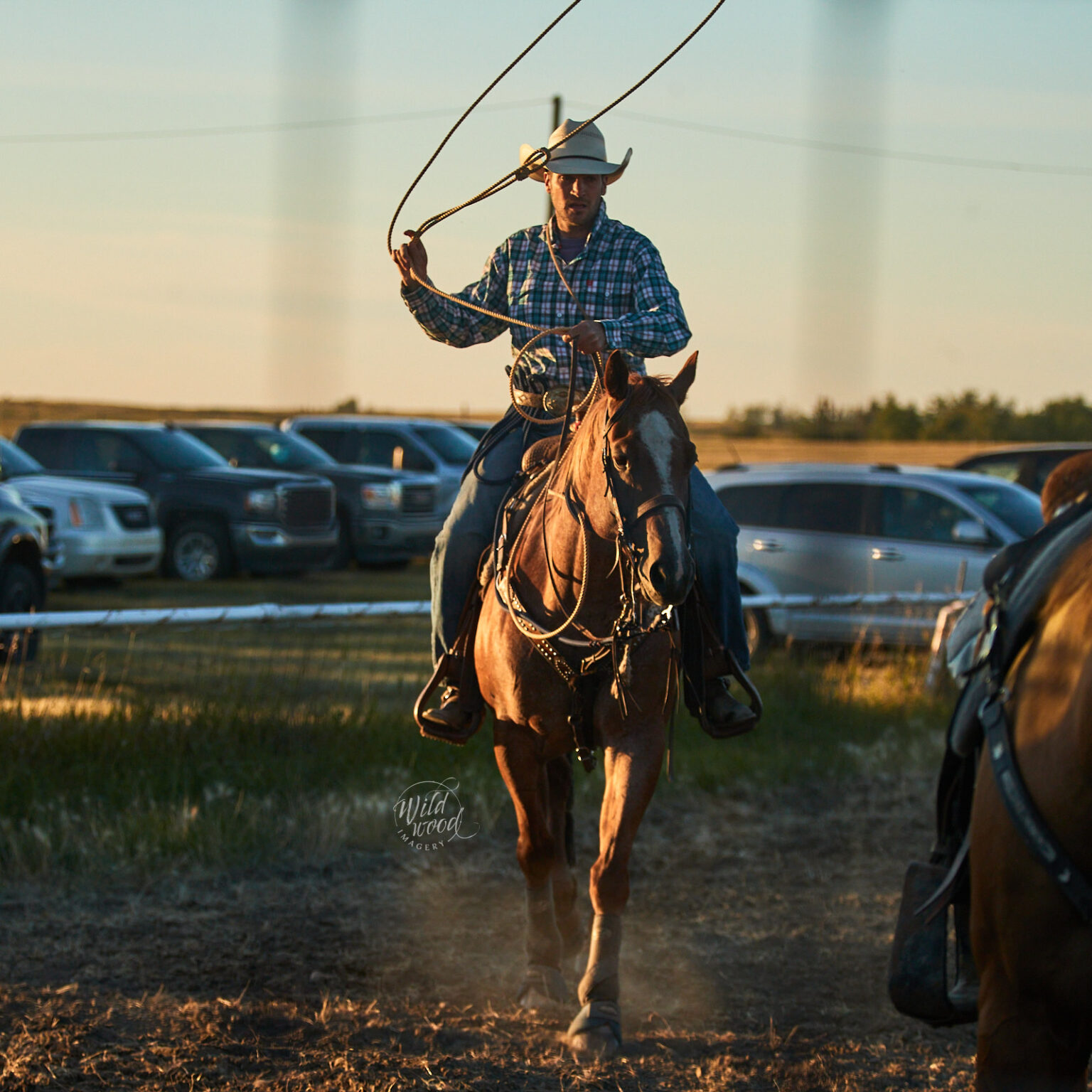 Blog - wildwoodimagery.ca