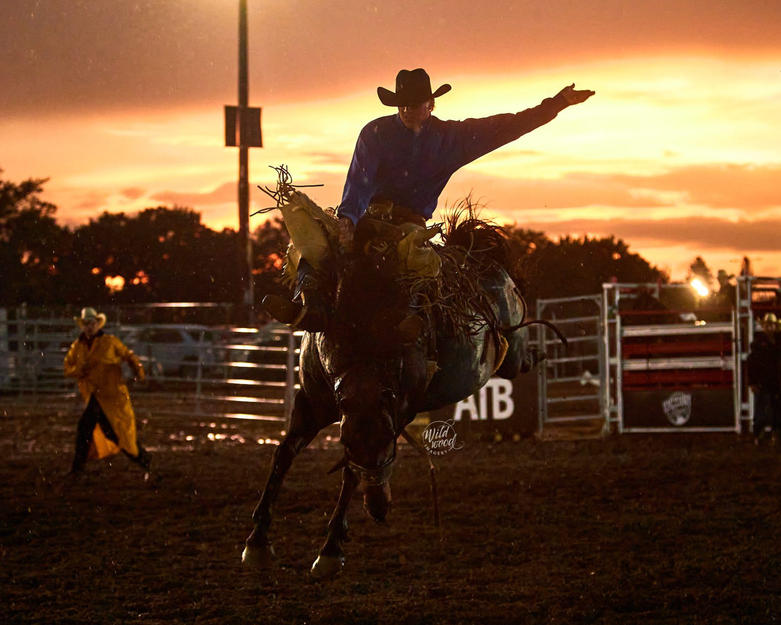 Blog - wildwoodimagery.ca