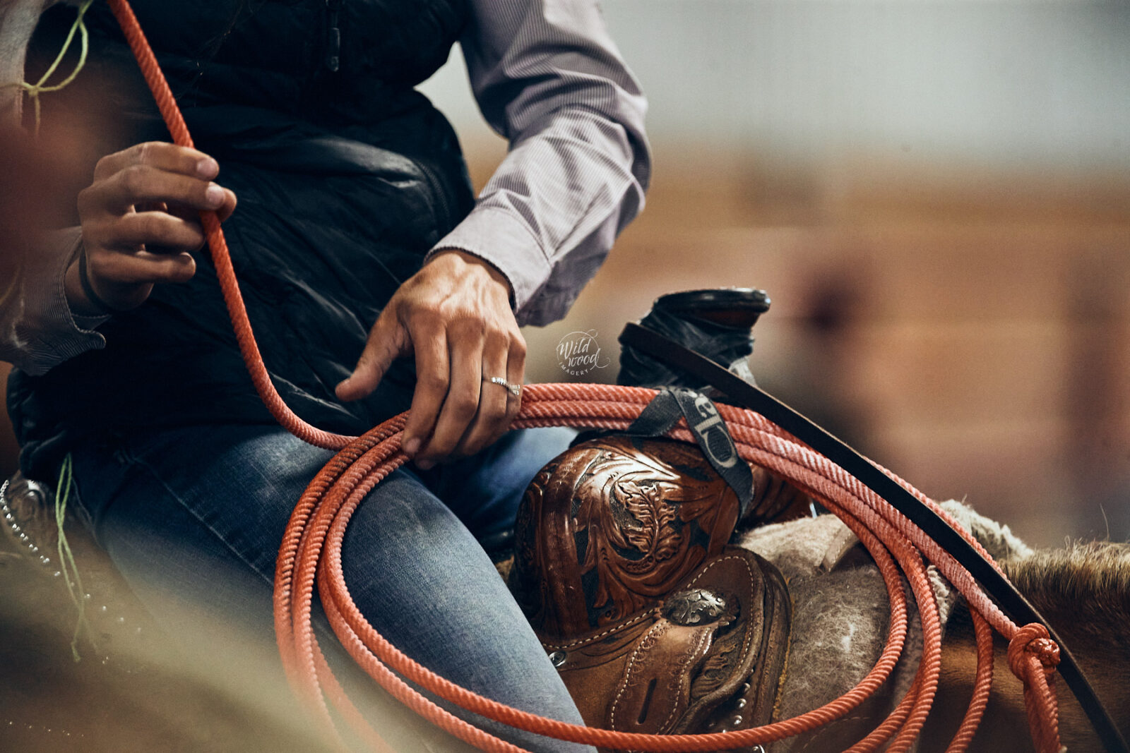 Blog - wildwoodimagery.ca