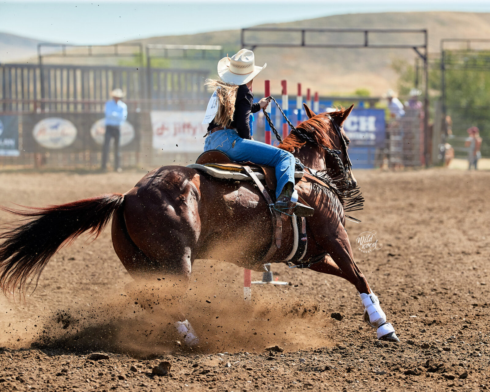 Blog - wildwoodimagery.ca