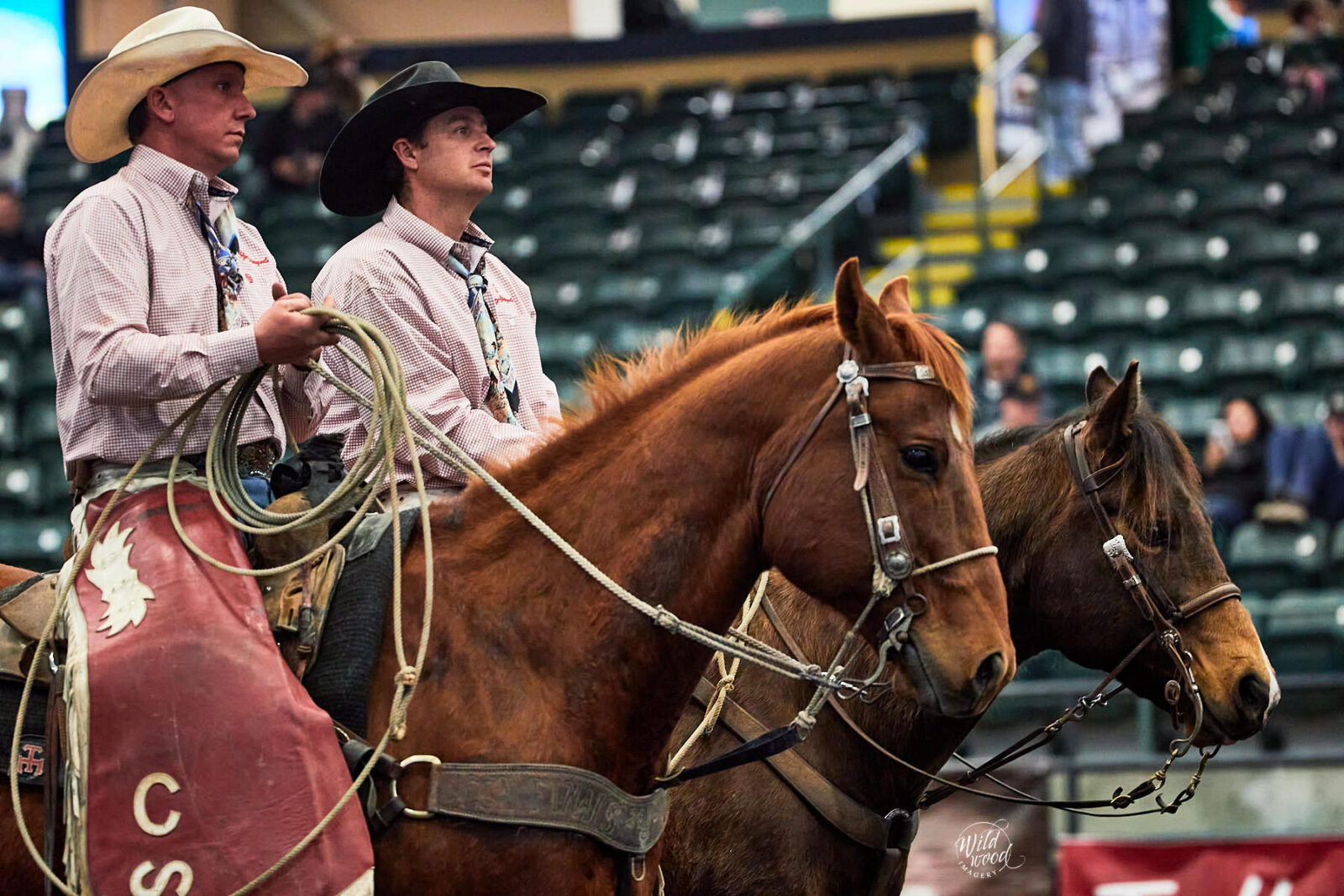 Blog - wildwoodimagery.ca