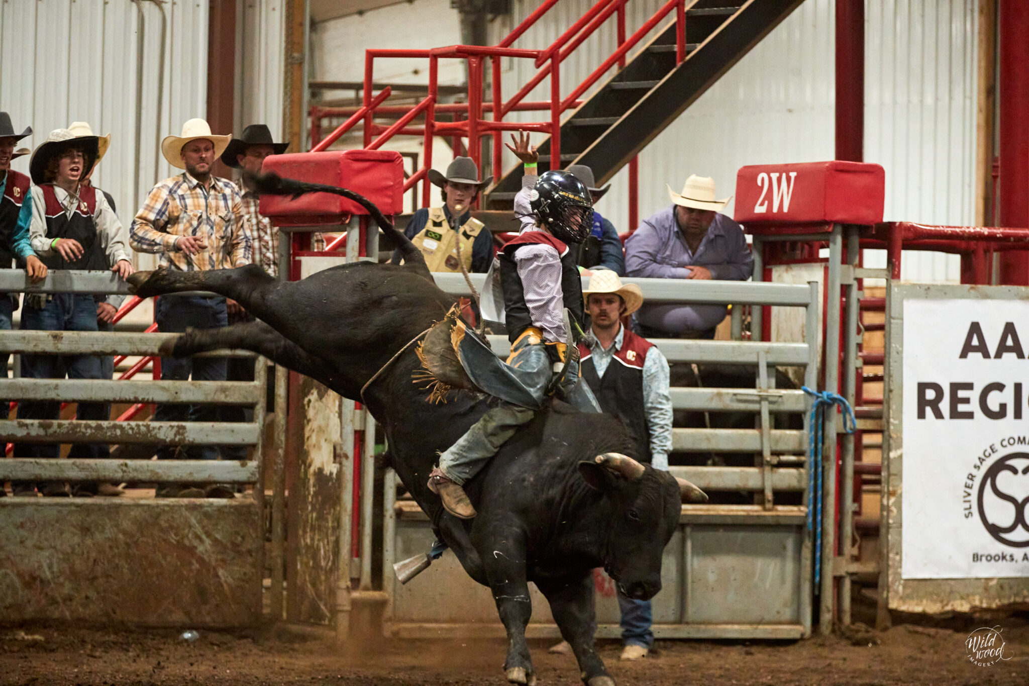 Blog - wildwoodimagery.ca