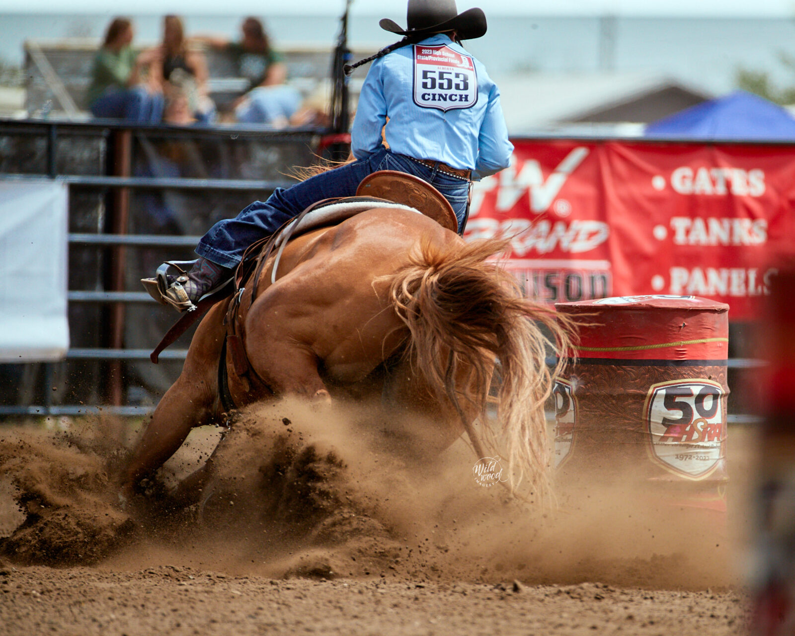 Blog - wildwoodimagery.ca