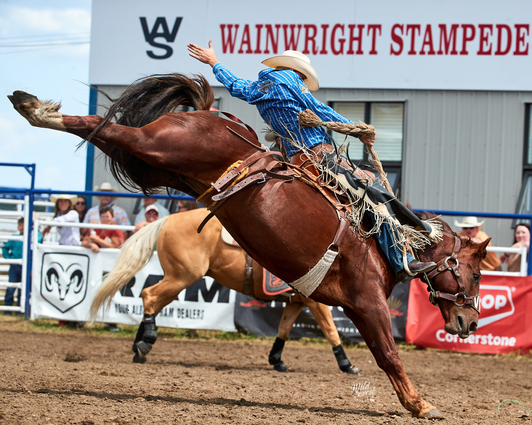 Blog - wildwoodimagery.ca