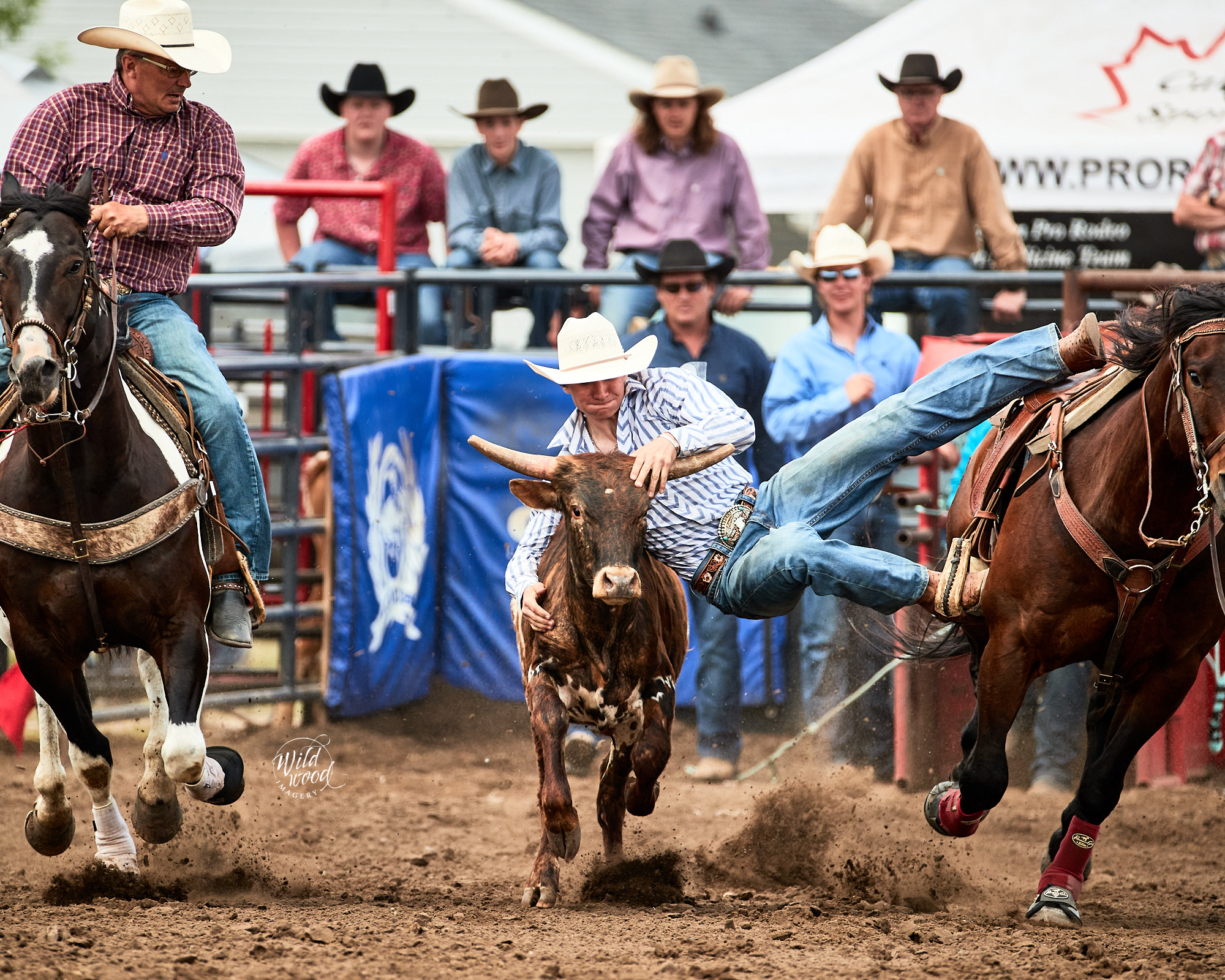 2023 Alberta High School Rodeo Finals - wildwoodimagery.ca