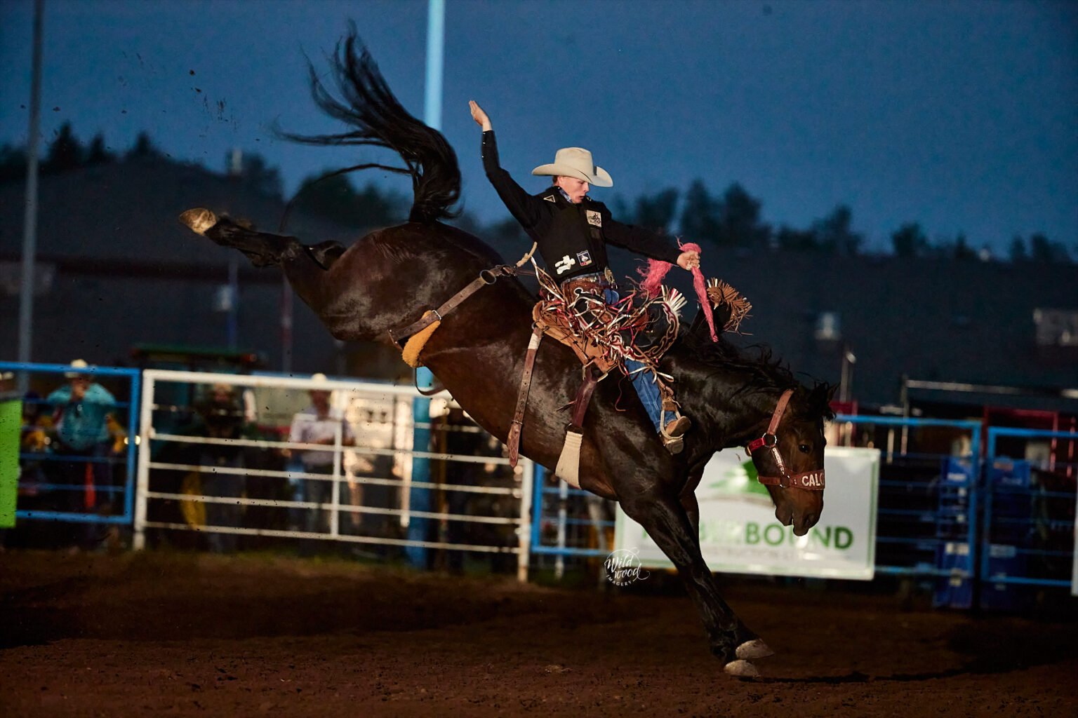 Blog - wildwoodimagery.ca