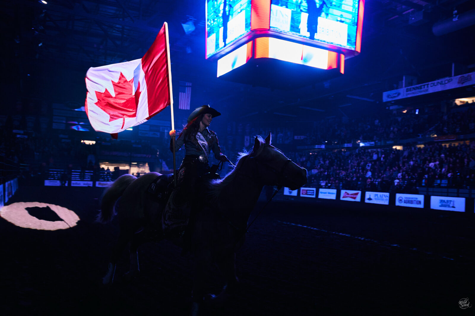 Blog - wildwoodimagery.ca