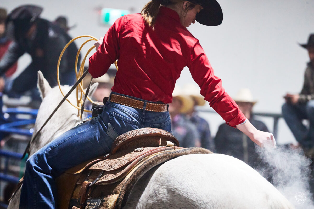 Blog - wildwoodimagery.ca