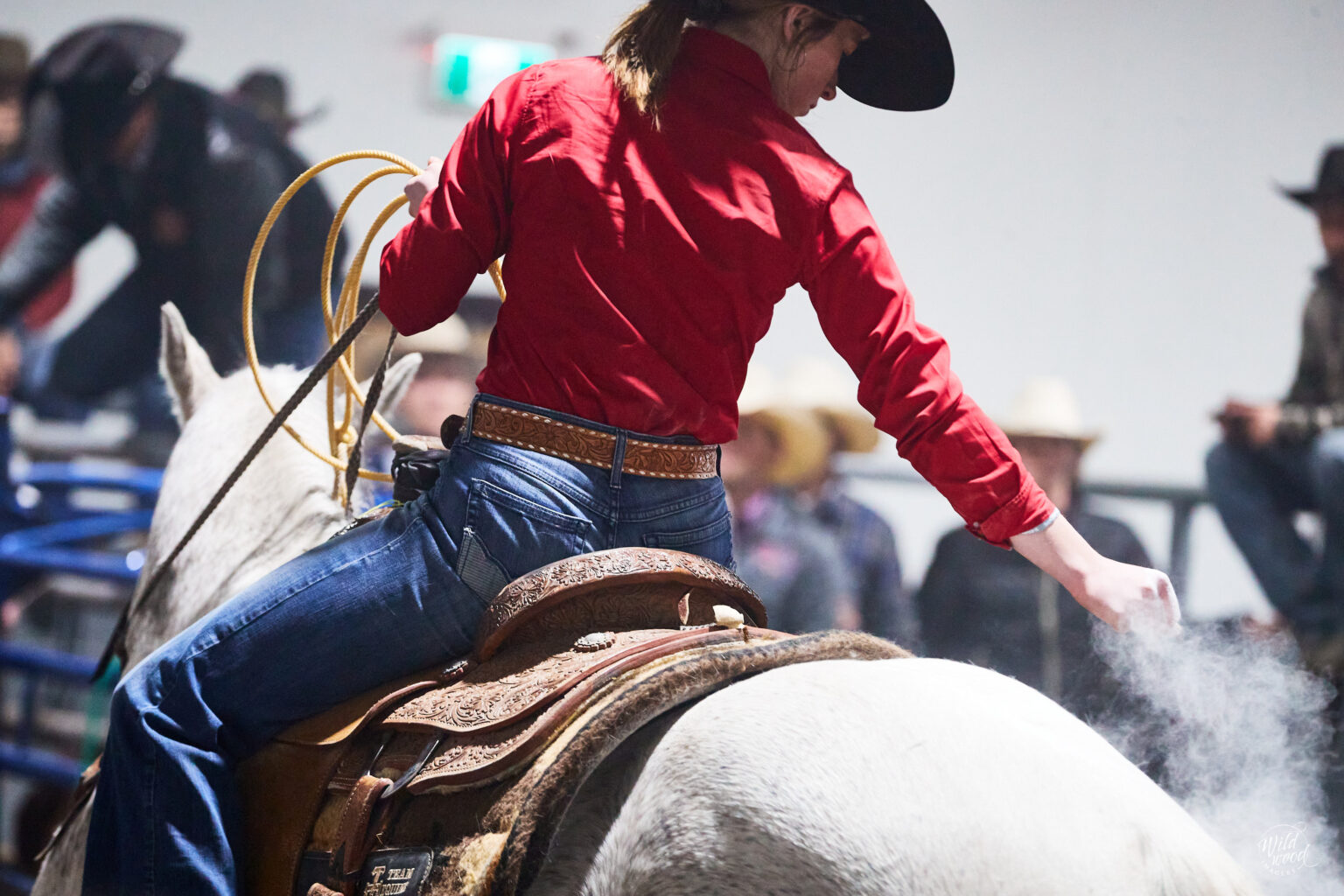 Blog - wildwoodimagery.ca