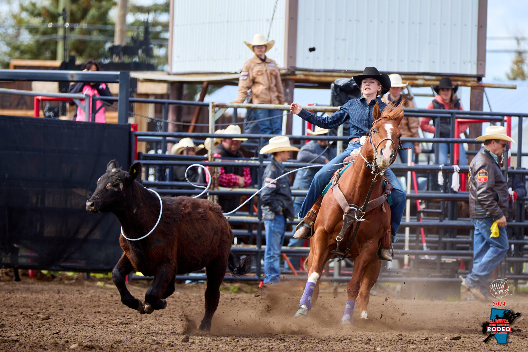 2024 (AHSRA) Alberta High School Rodeo Finals - wildwoodimagery.ca