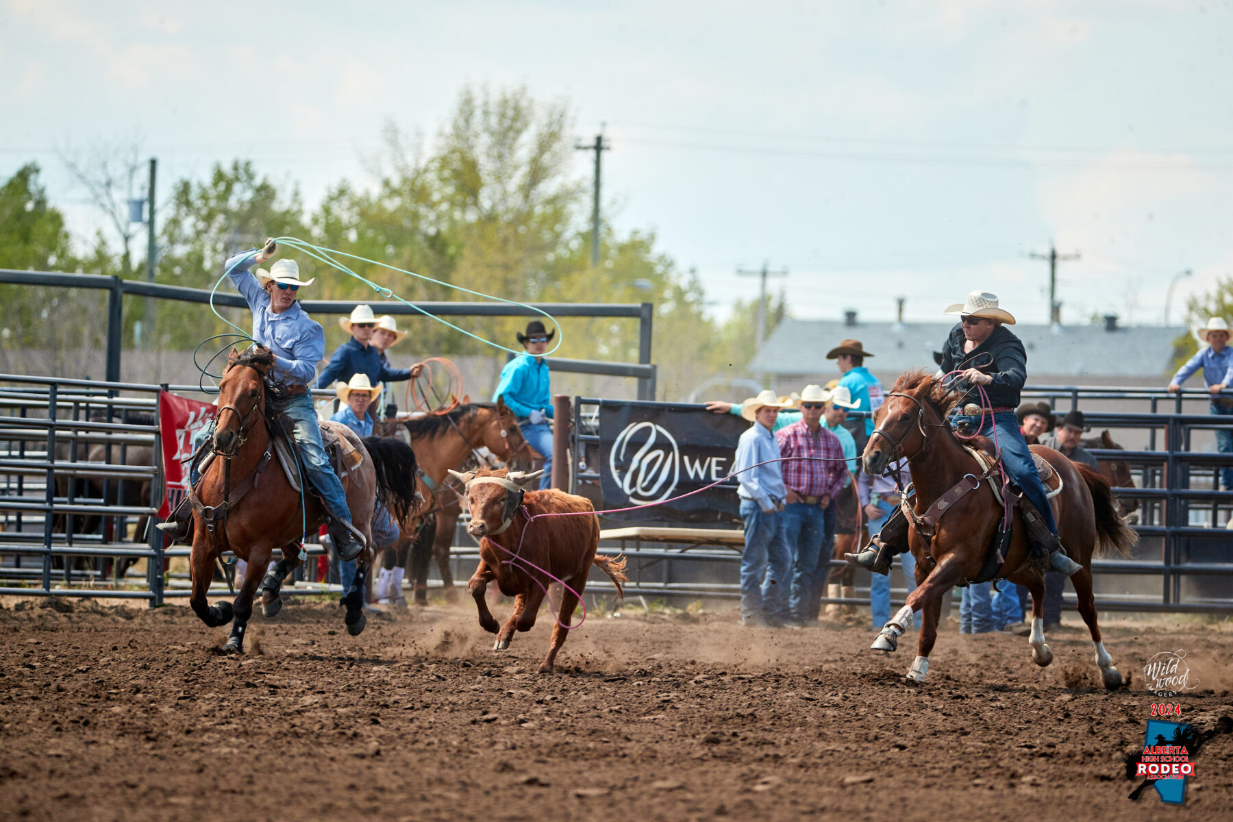 2024 (AHSRA) Alberta High School Rodeo Finals - wildwoodimagery.ca