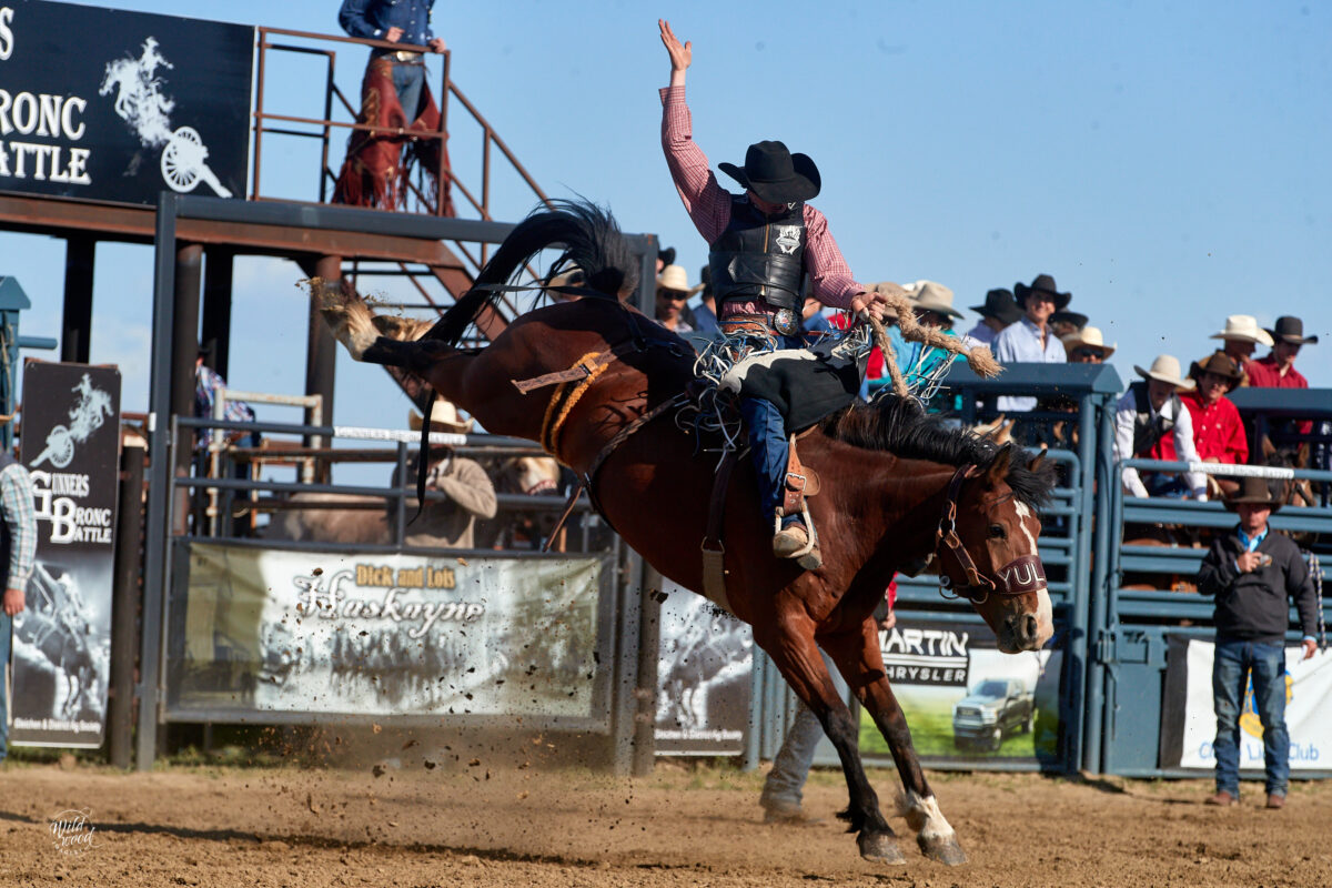 Blog - wildwoodimagery.ca