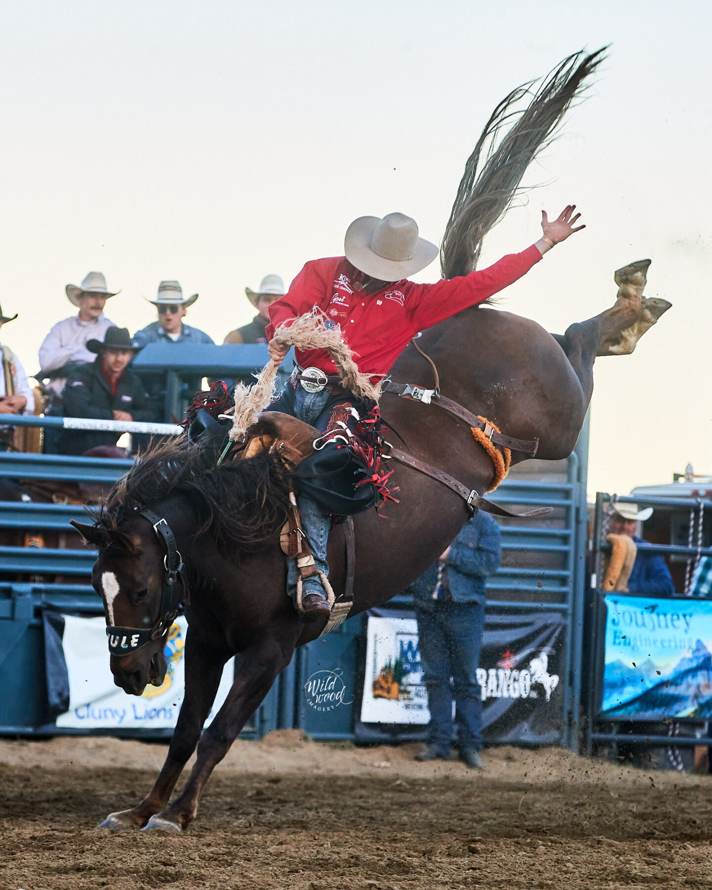 2024 Gleichen Bronc Match - wildwoodimagery.ca