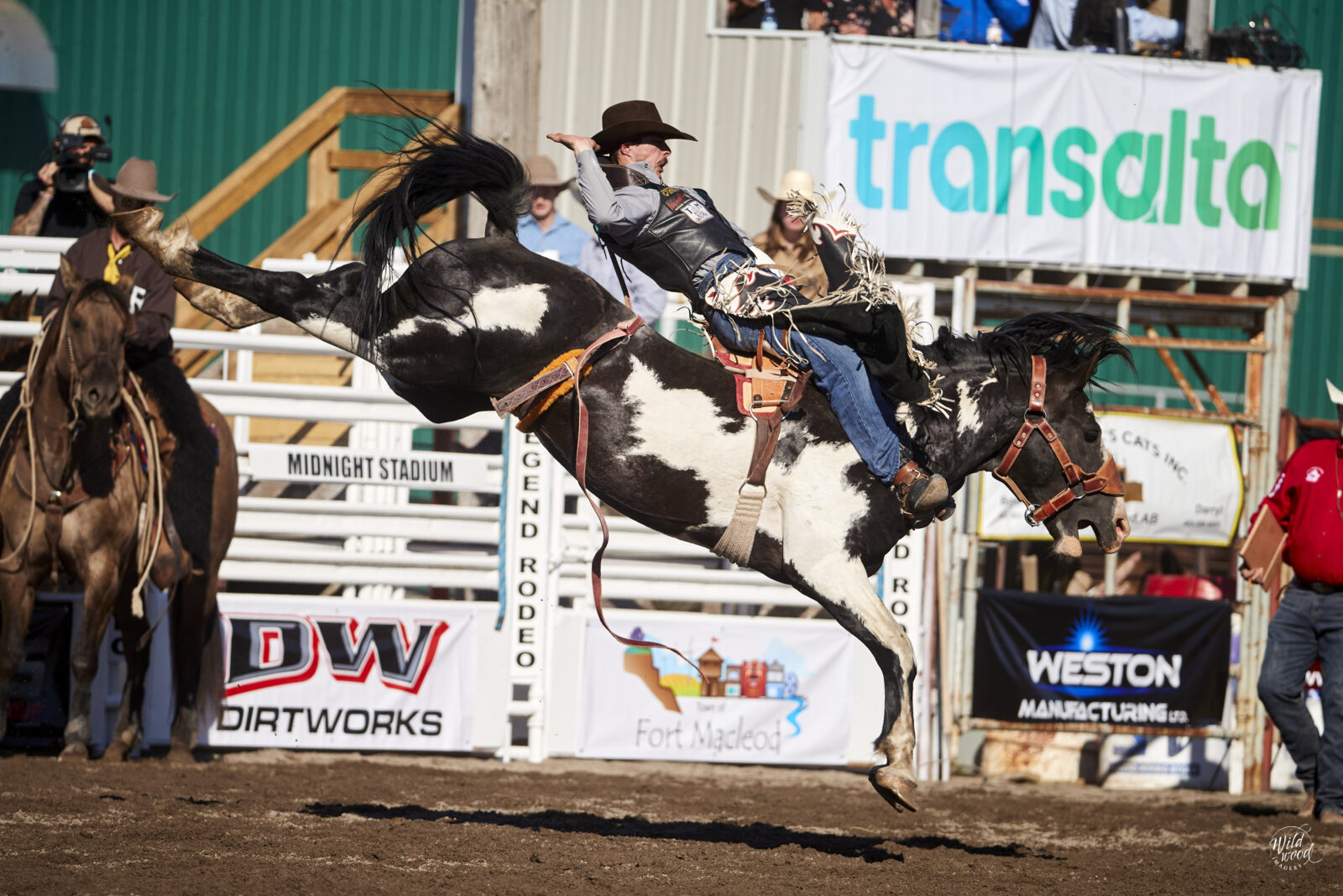 Blog - wildwoodimagery.ca