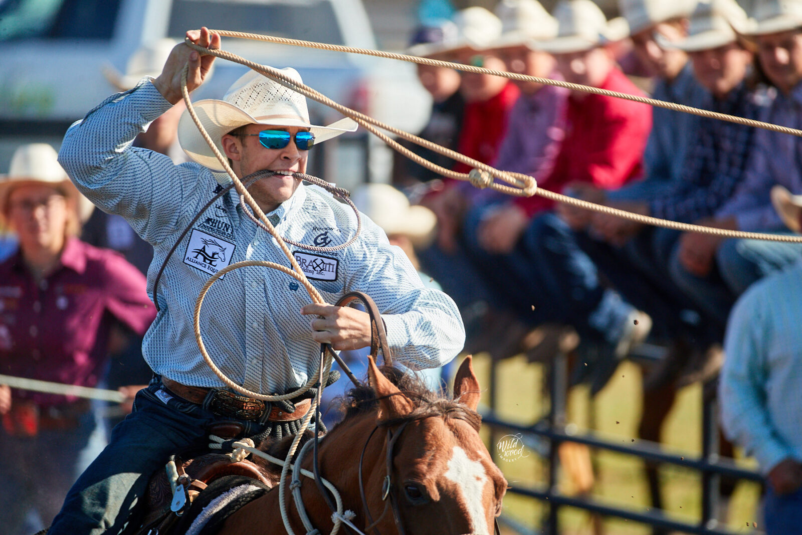 Blog - wildwoodimagery.ca