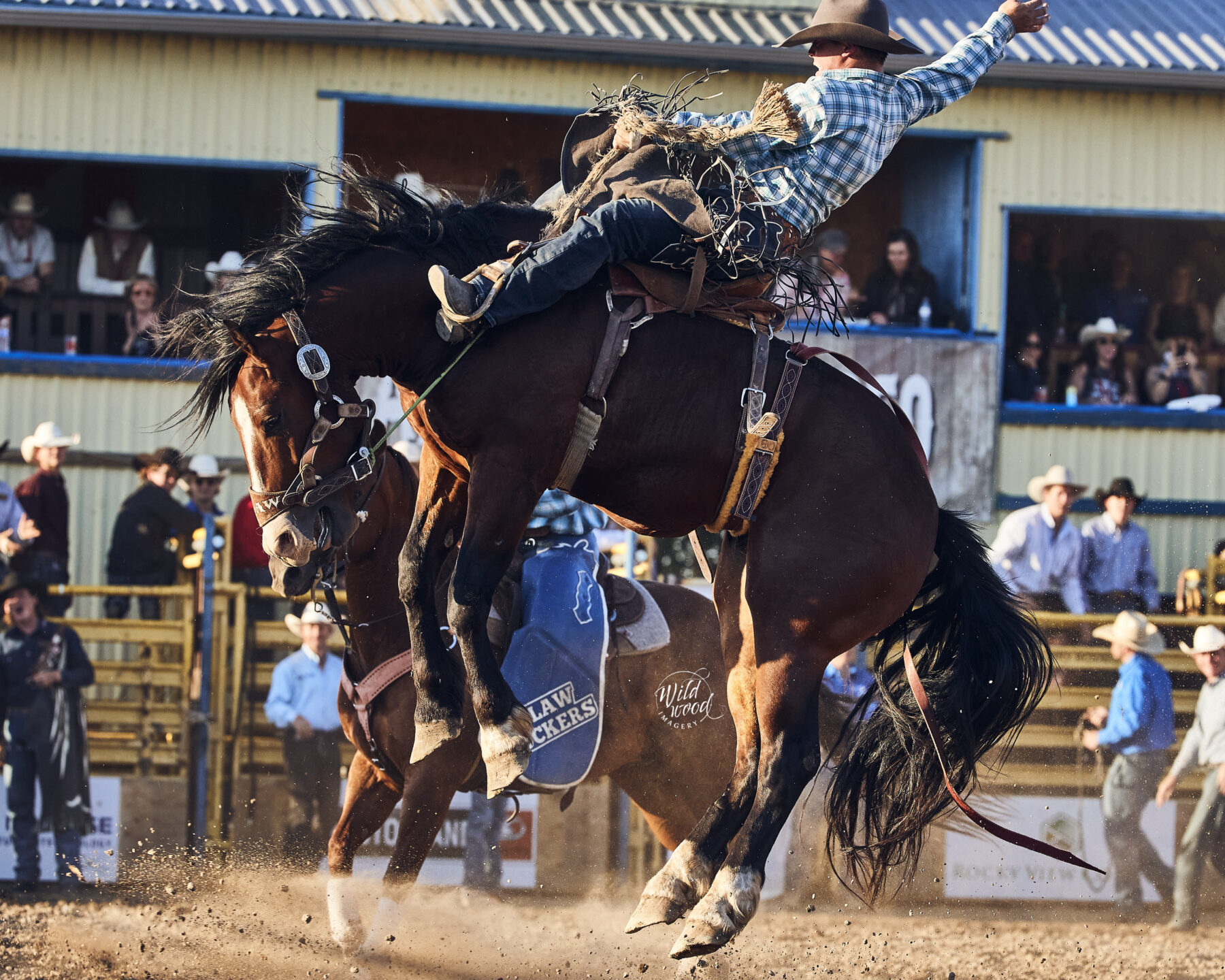 Blog - wildwoodimagery.ca