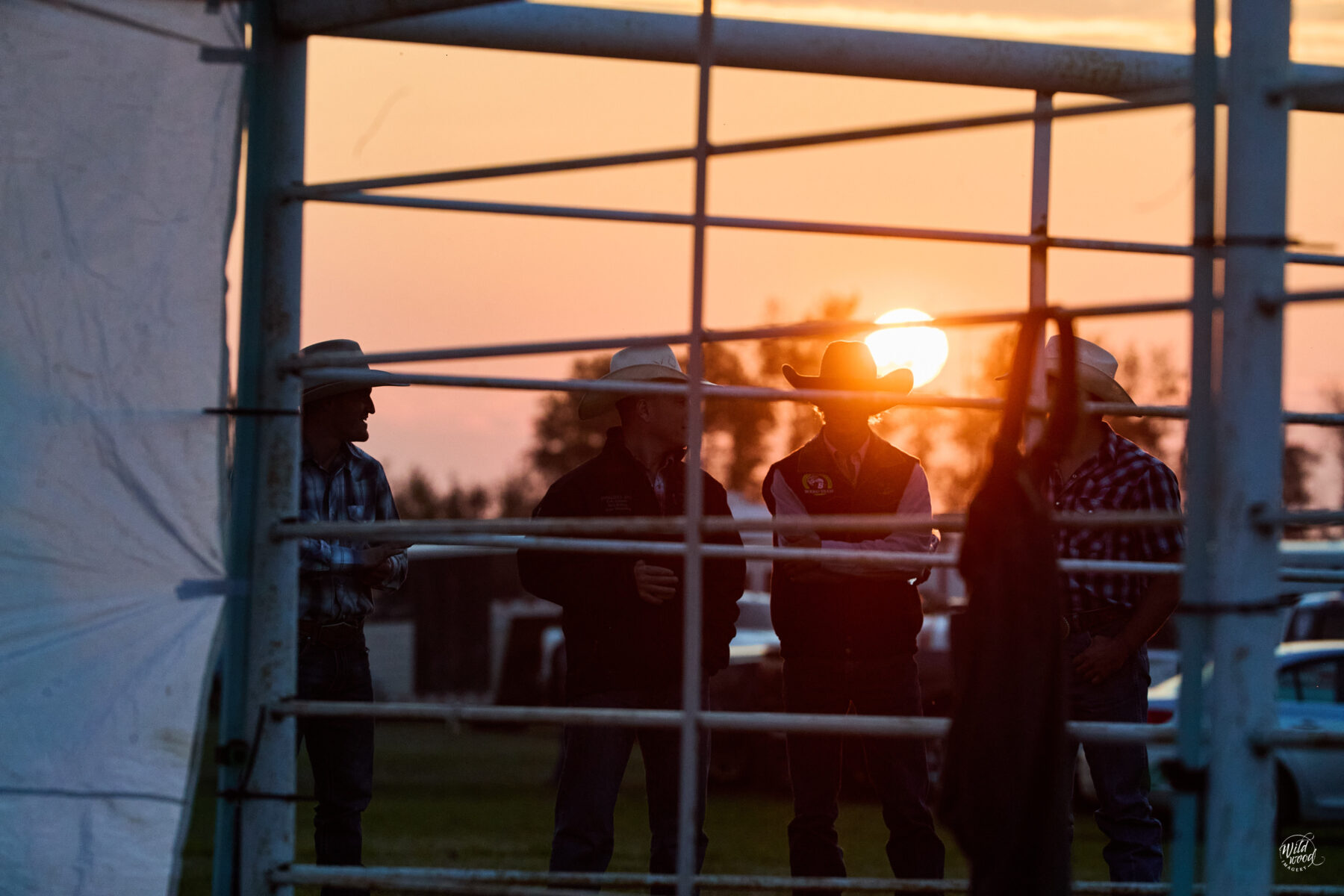 Blog - wildwoodimagery.ca