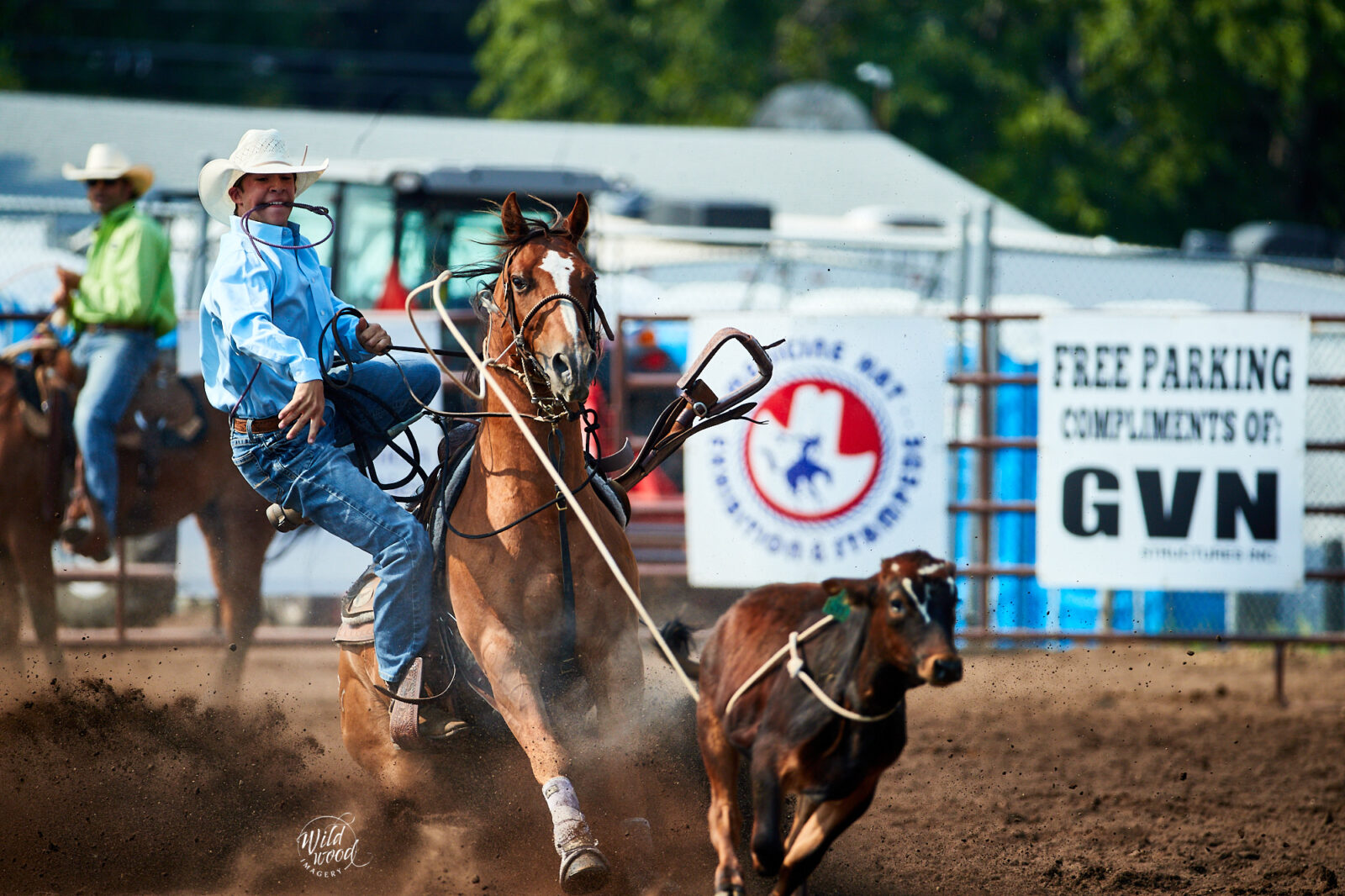 Blog - wildwoodimagery.ca