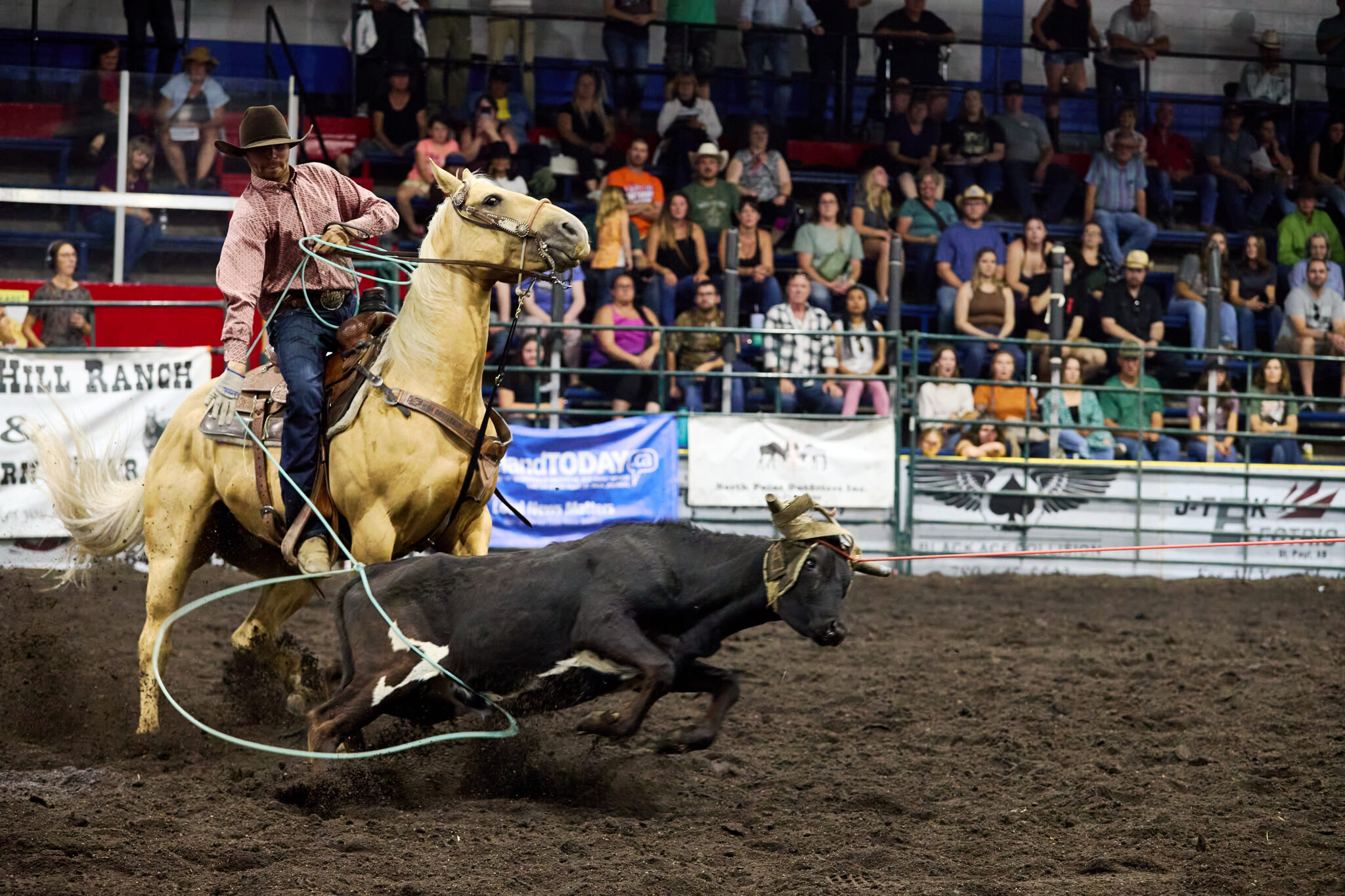 Blog - wildwoodimagery.ca