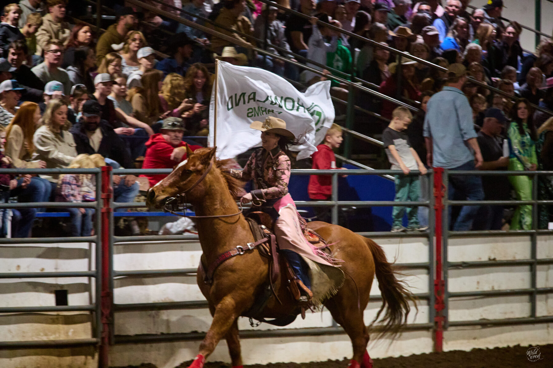 2025 Taber Pro Rodeo - wildwoodimagery.ca