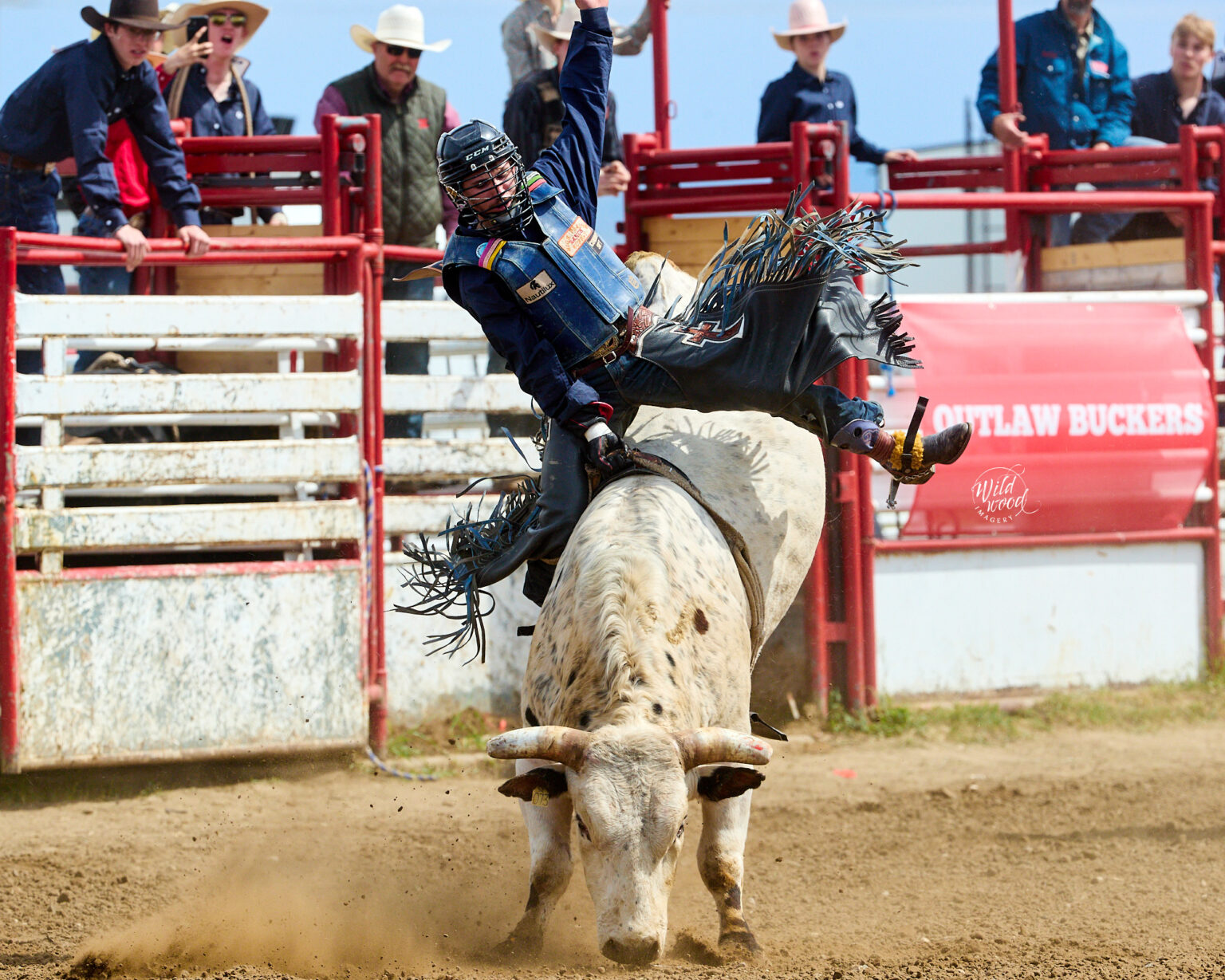 Blog - wildwoodimagery.ca