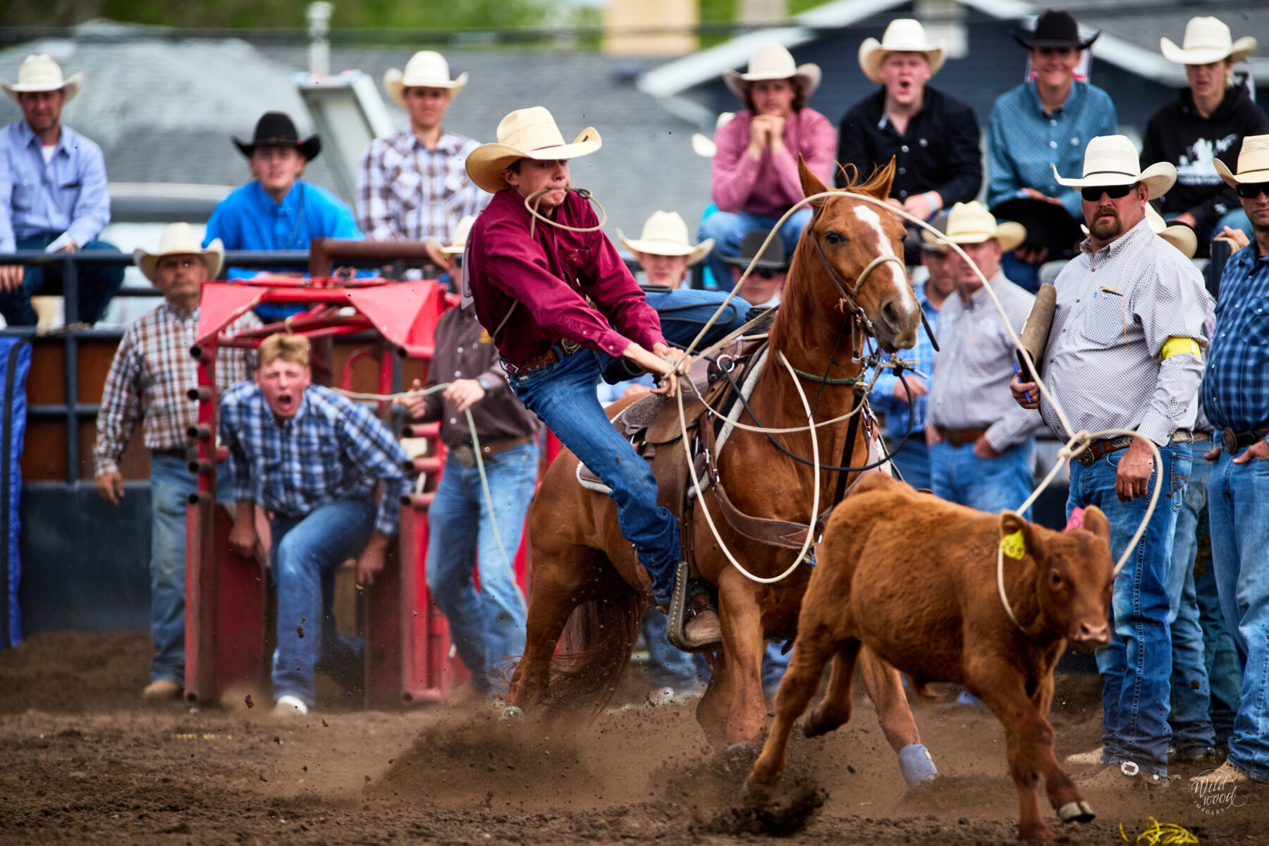 2025 Alberta High School Finals (AHSRA) - wildwoodimagery.ca