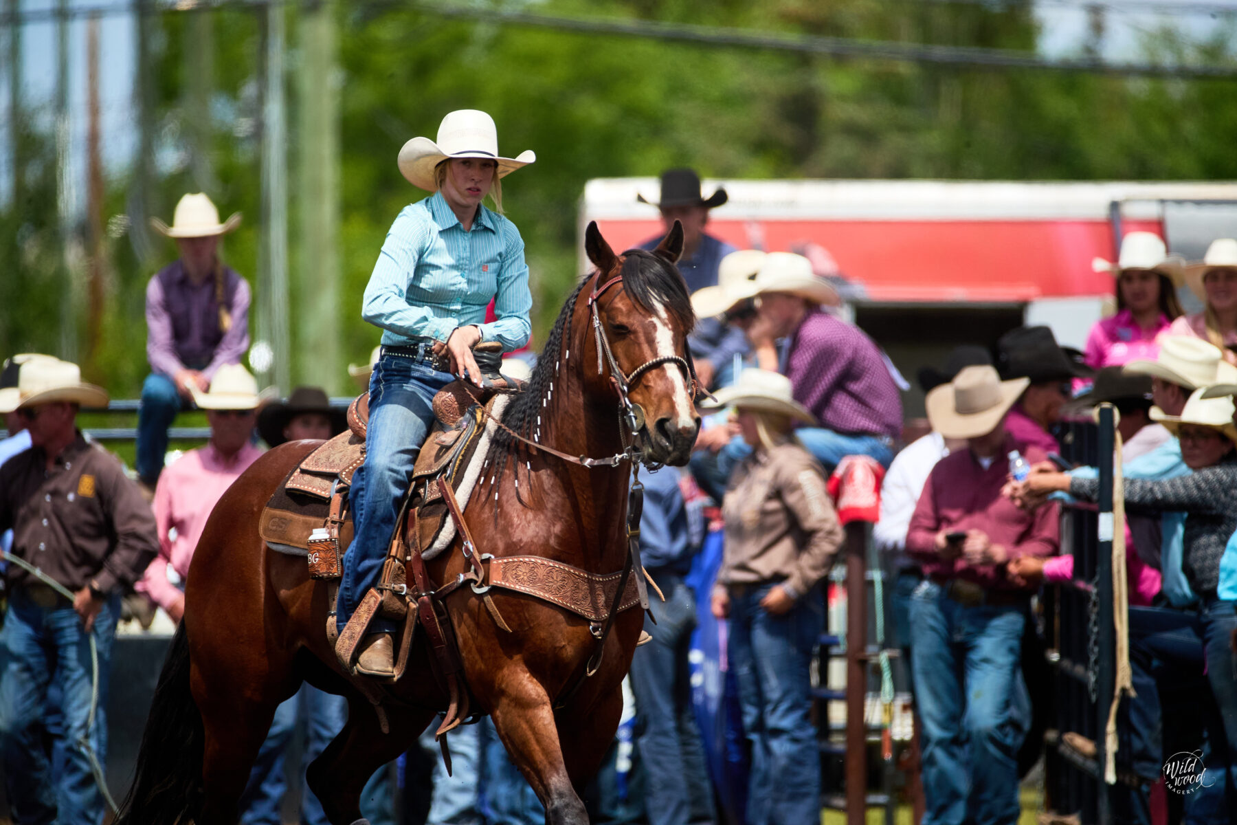 Blog - wildwoodimagery.ca