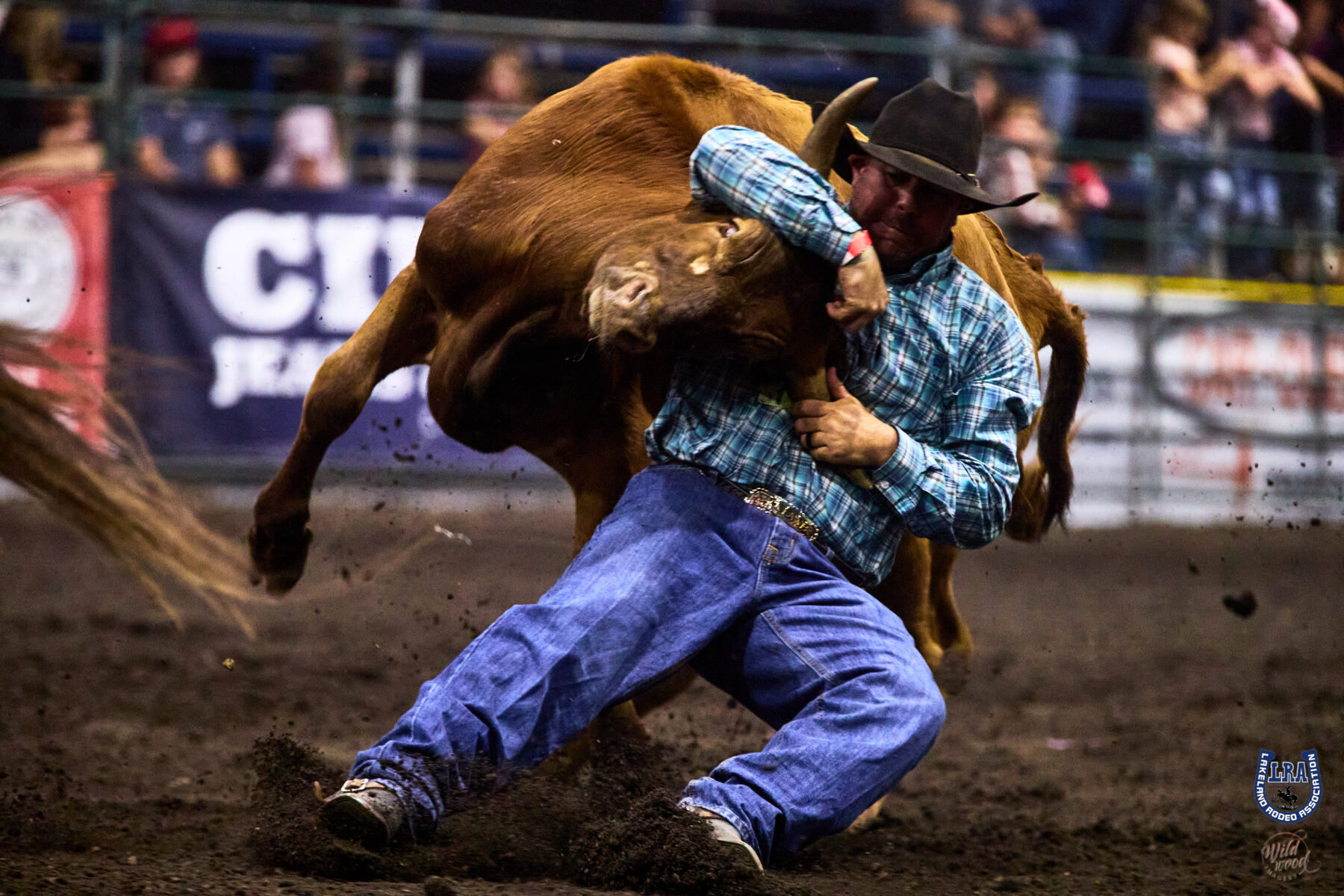 Blog - wildwoodimagery.ca