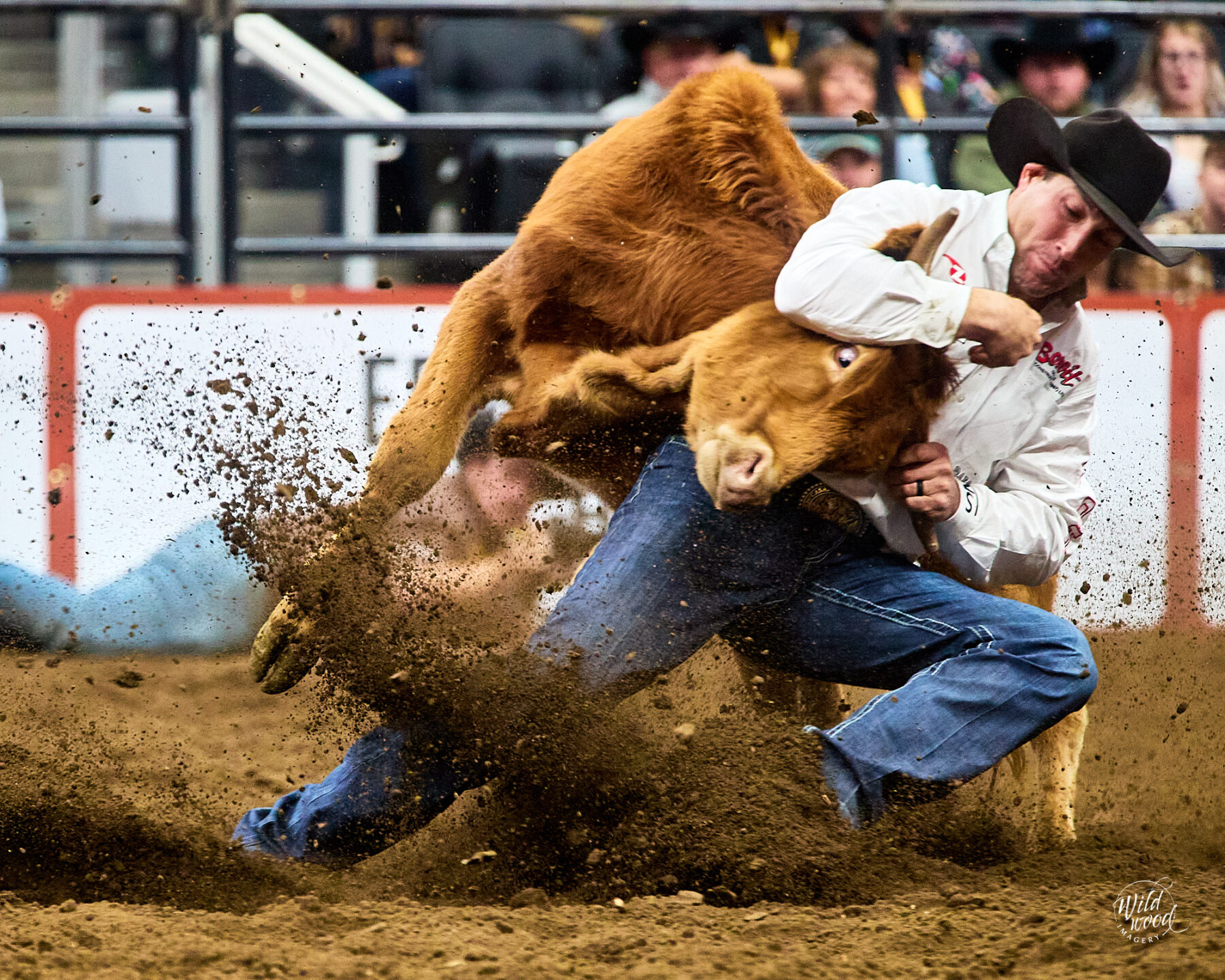 2025 (CFR) Canadian Finals Rodeo - wildwoodimagery.ca
